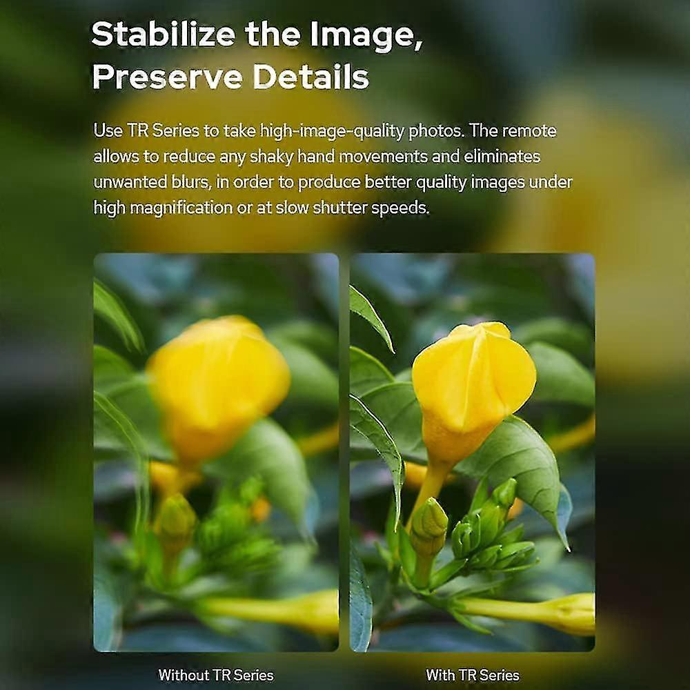 Tr Series 2.4g Wireless Timer Remote Control Camera Shutter Remote(tramsmitter & Receiver) 6 ...