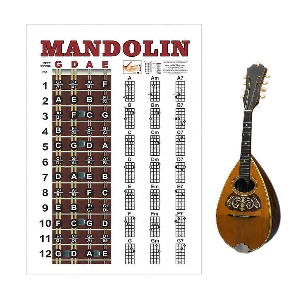 Mandolin Chord Chart Easy Chord & Fretboard Note Chart Instructional ...