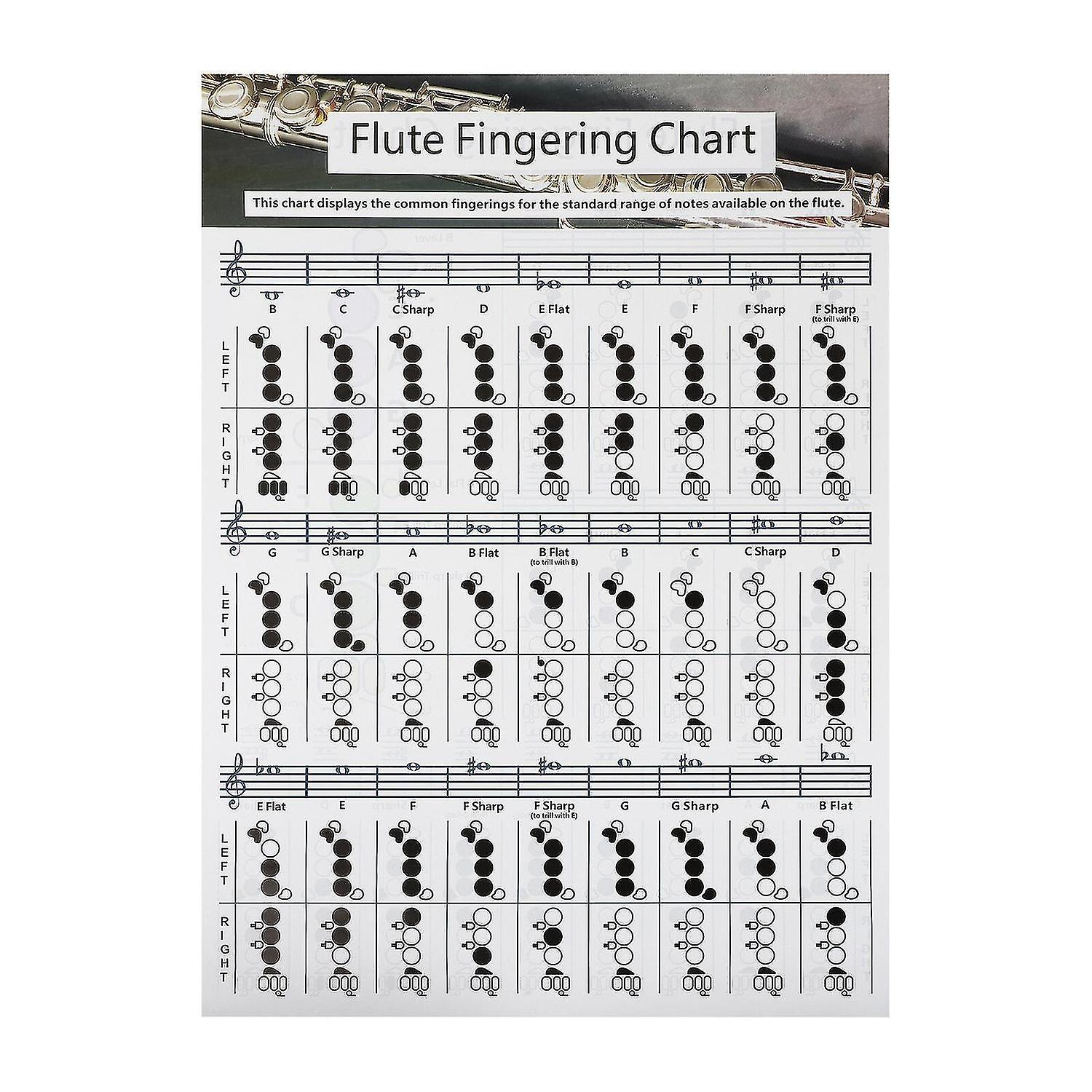 Practical Flute Finger Guide Chart Useful Flute Chord Chart For Flute ...