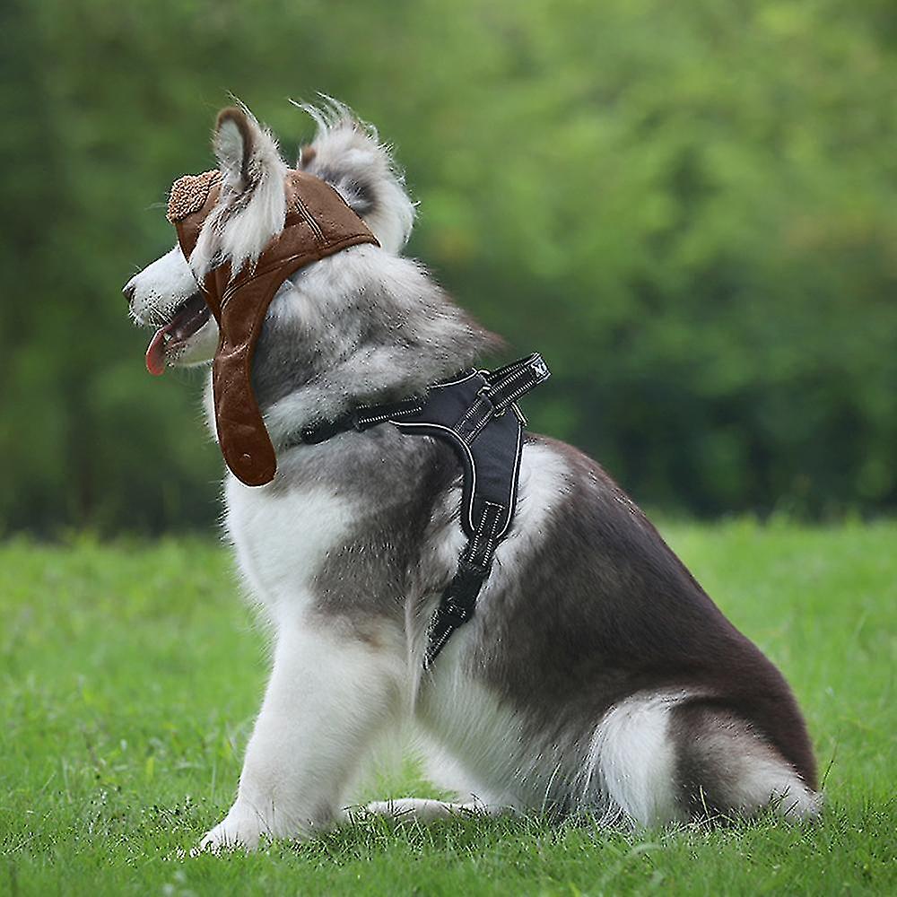 Dog Aviator Hat, Dog Winter Pilot Hat With Ear Flaps For Cold Weather ...