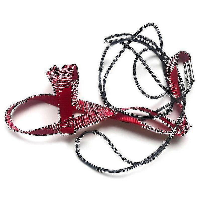 Parrot Bird Harness Leash Outdoor Flying Traction Straps Band ...