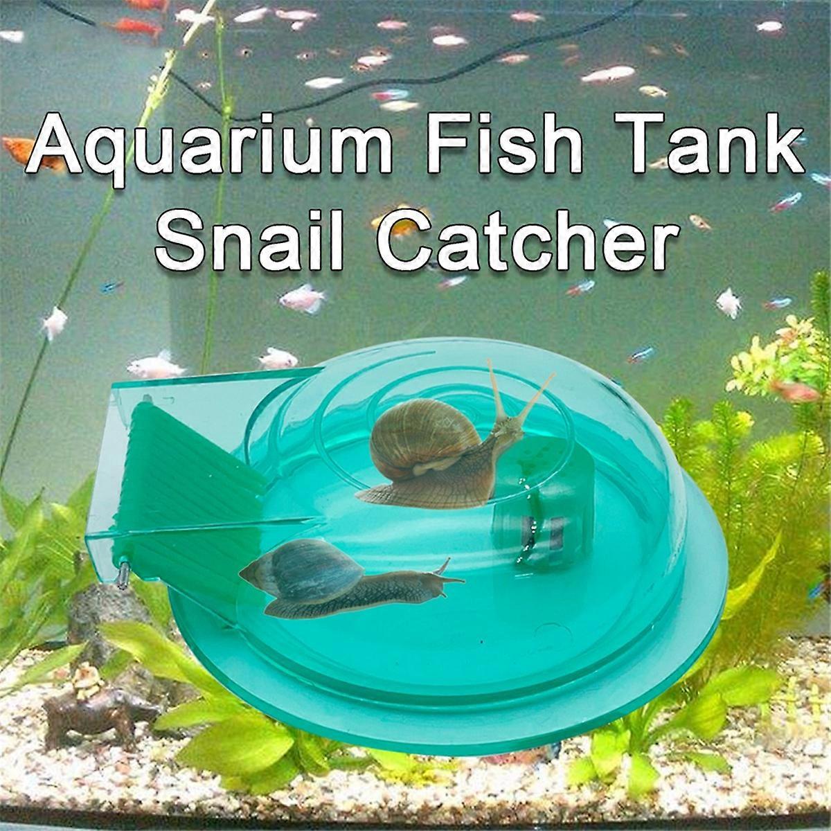 Aquarium Snail Remover Cleaning Supplies for Fish Tank Water Grass ...