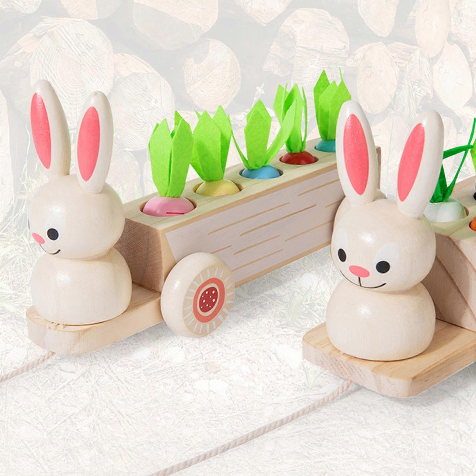 Wooden Rabbit Pull Cart And Carrot Matching Game For Kids Educational ...