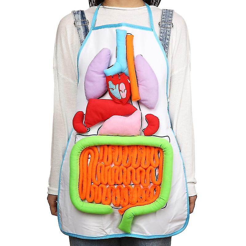 Anatomy Apron Human Body Organ Educational Tool Children Preschool ...