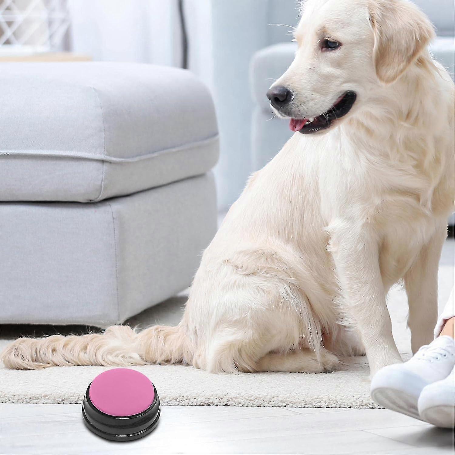 Recordable Sound Button Communication Interactive Toy Recorder Playback ...