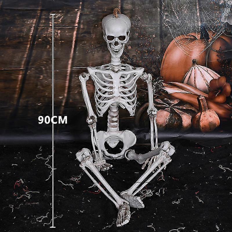 Halloween Skeleton, Realistic Life Size Skeleton Full Body Posable ...