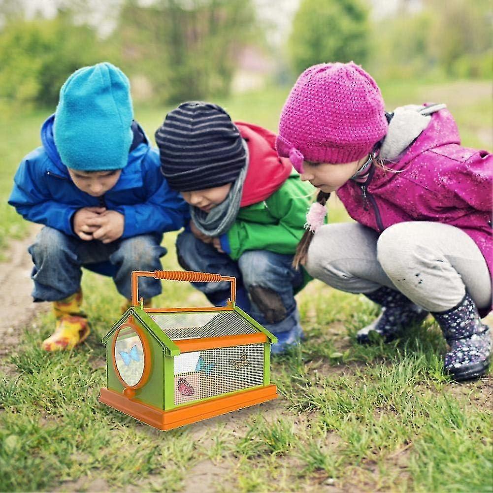 Insect boxes, crawling beetle, observation box, insect house, DIY ...