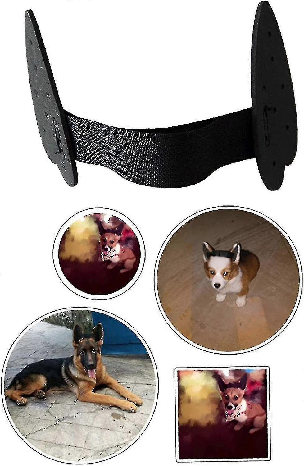 Dog Ear Posting Kit, Dog Ear Stand Sticker Up Support Tool, Puppy Ear ...