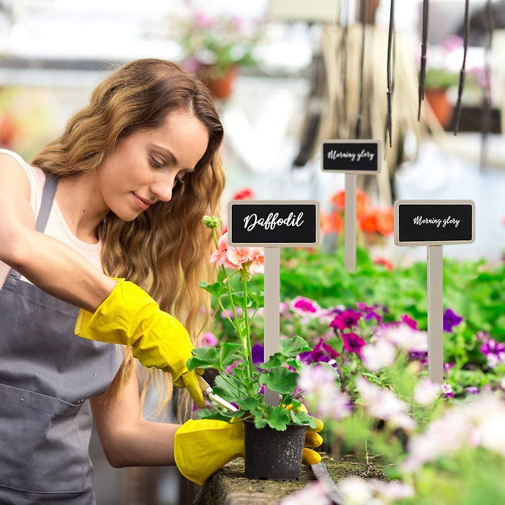 Vegetable Garden Labels, Mini Wooden Board Plant Labels For Flower Pot ...