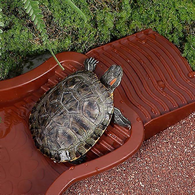 Terrestrial Turtle Feeding Bowl, Water Dish Pool Turtle Basin with Ramp ...