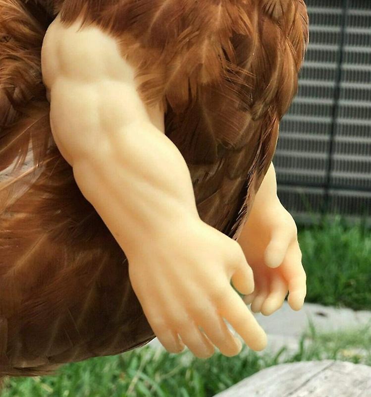 Muscle Chicken Arms Toys for Chickens to Wear | Fruugo UK