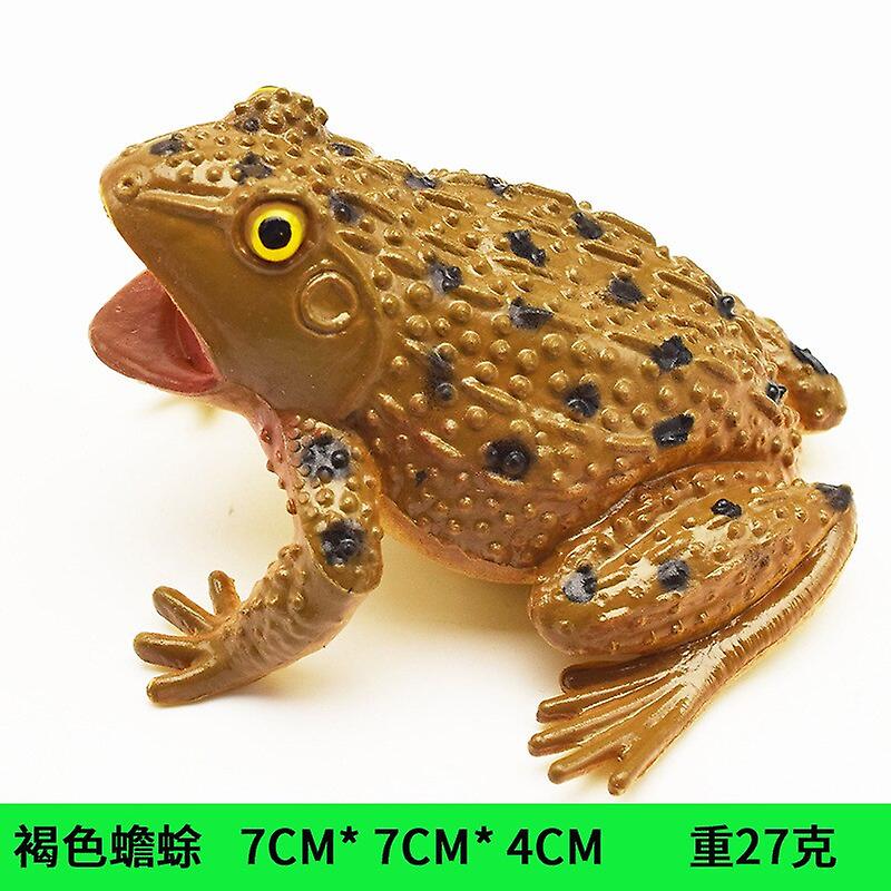 Simulation Frog Model Children's Cognitive Animal Props Toys Tropical ...