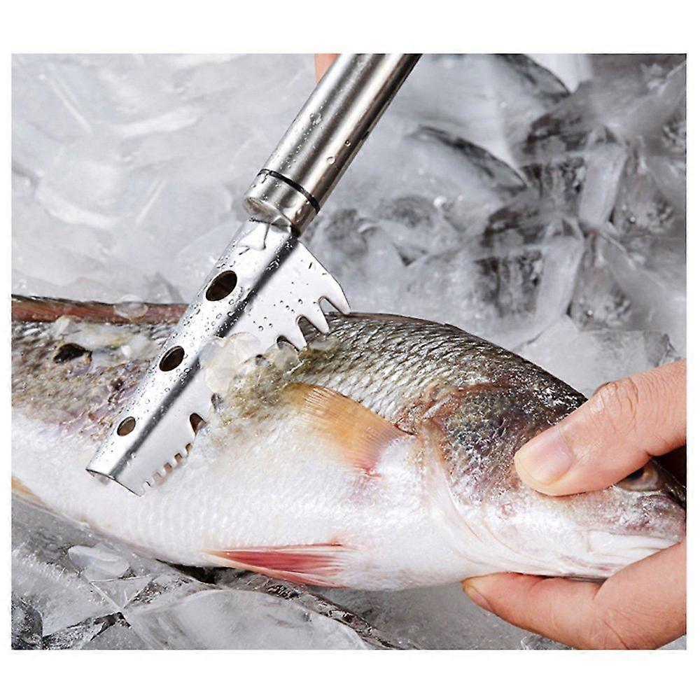 Fish Scale Remover Fish Scales Scraper with 304 Stainless Steel ...