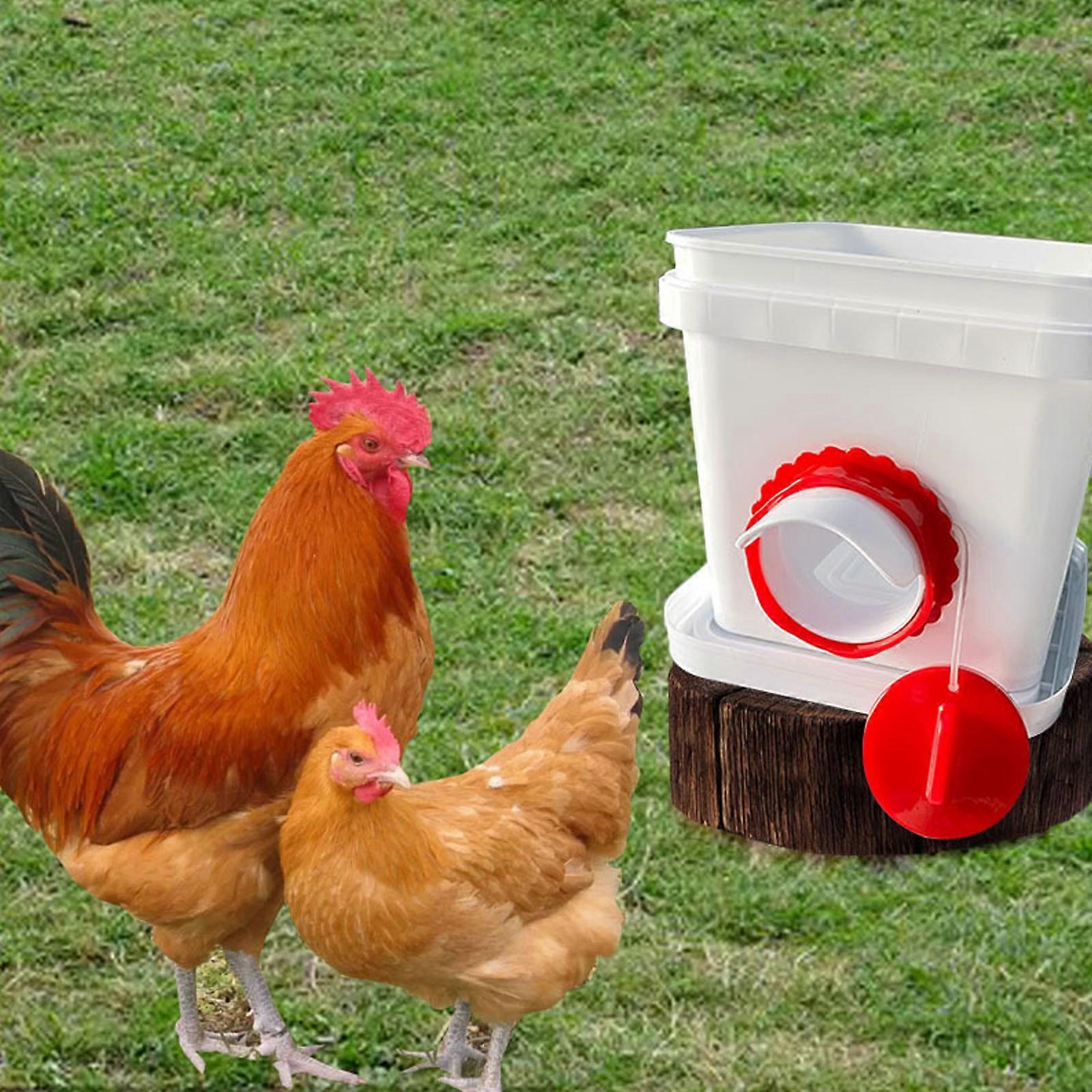 2023 New Upgrade Automatic Chicken Feeder without Waste, DIY Feeder ...