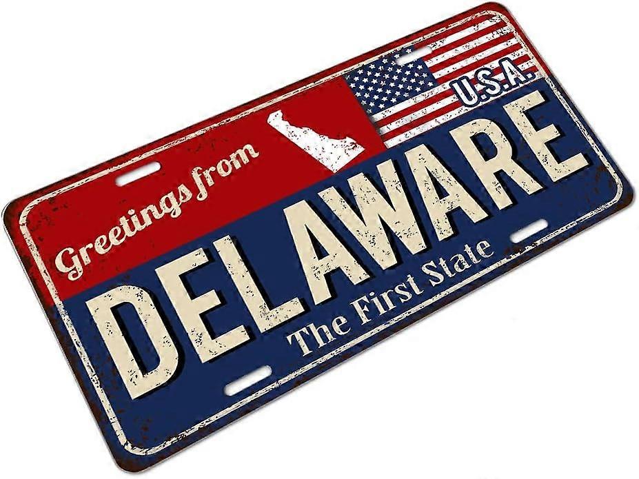 License Plate Baby Sea Turtles Decorative Car Front License Plate ...