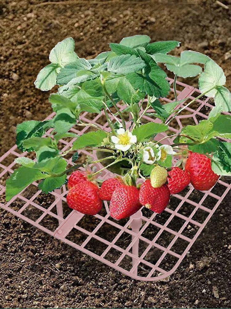Strawberry Bracket Planting Rack Potted Trough Rack Home Gardening ...