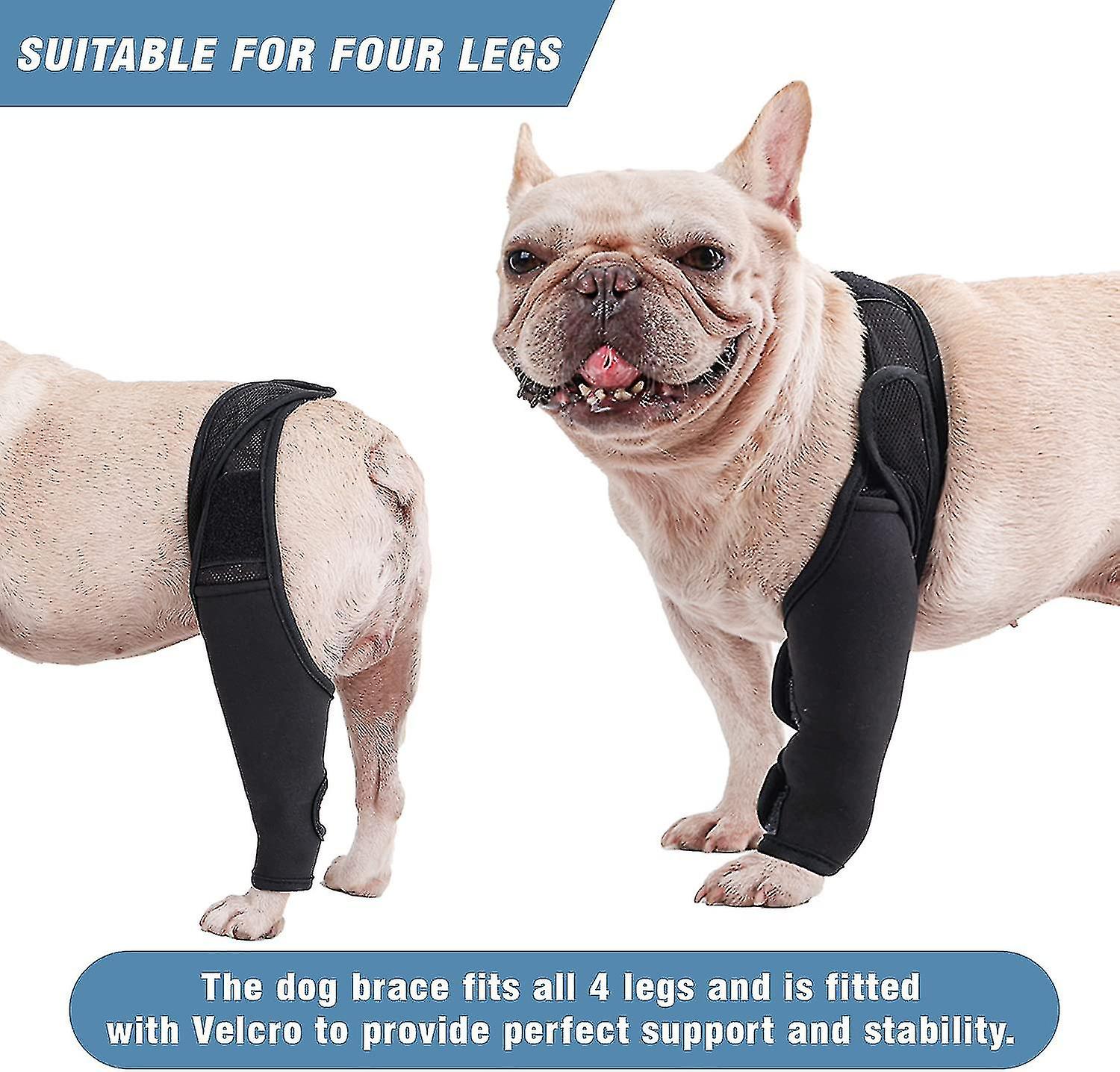 Dog Knee Brace Dog Leg Brace For Torn Acl Hind Leg Dog Hip Support ...