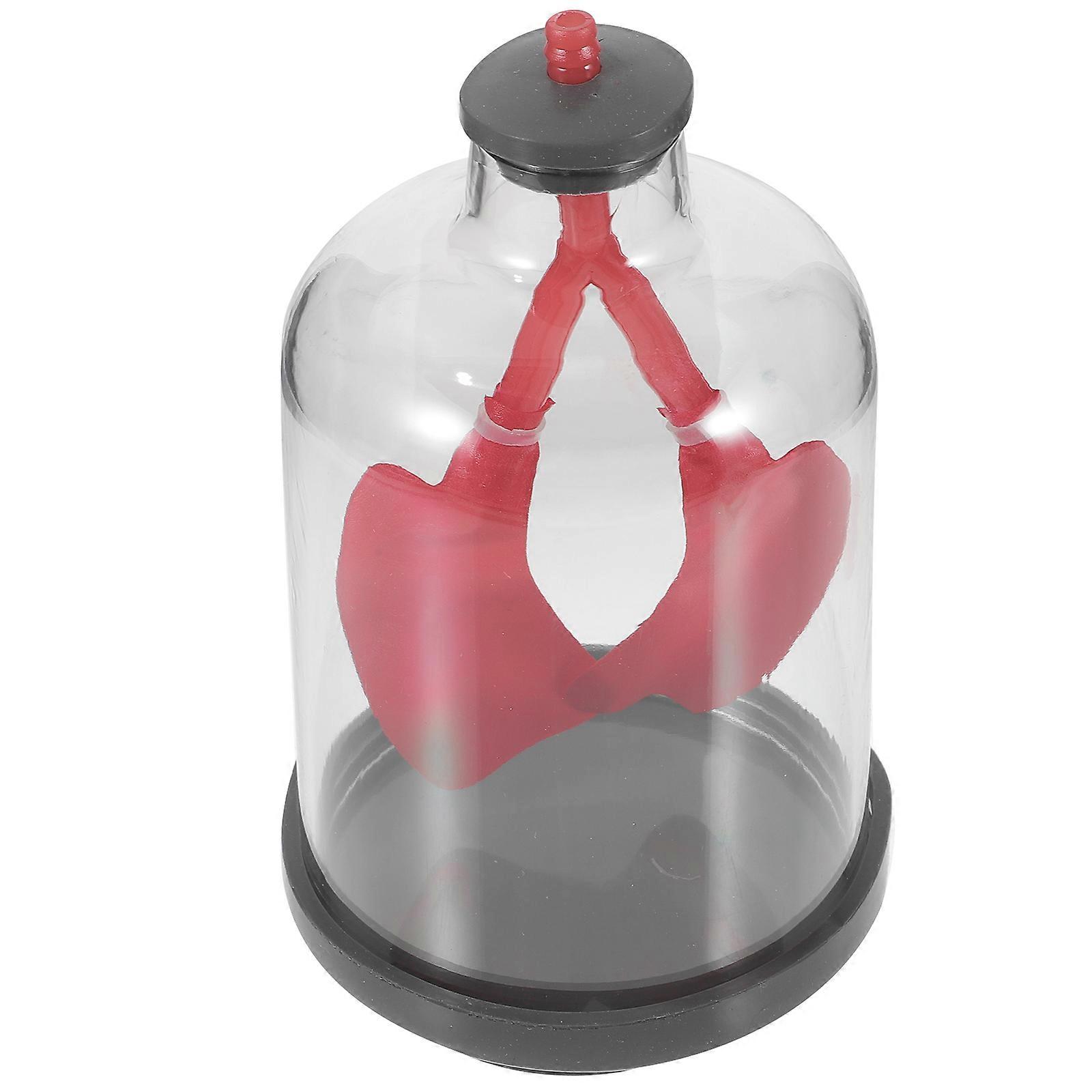 Lung Function Demonstration Model Educational Lung Breathing Model ...