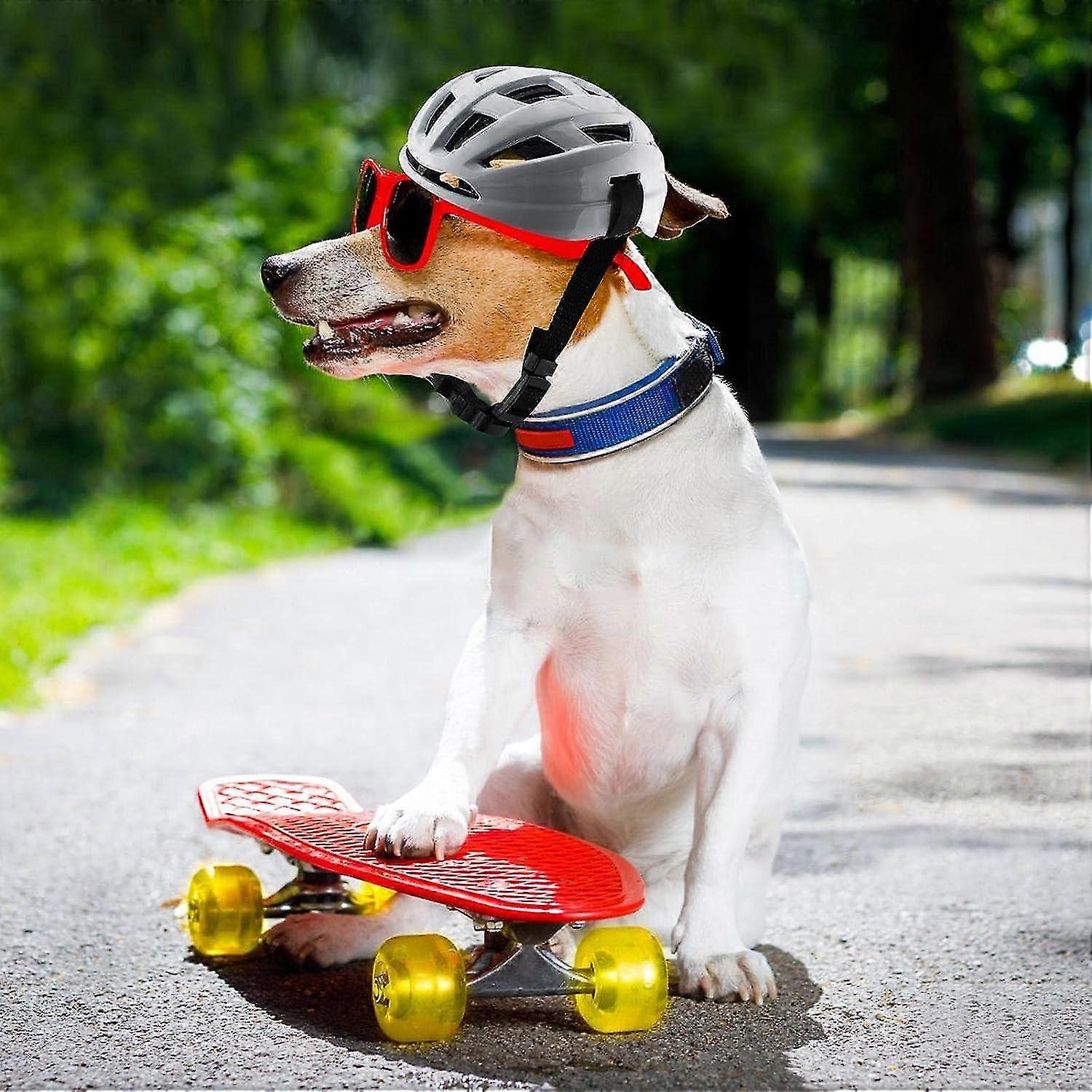 Dog Helmets For Small Medium Dogs, Ventilated Dog Motorcycle Helmet ...