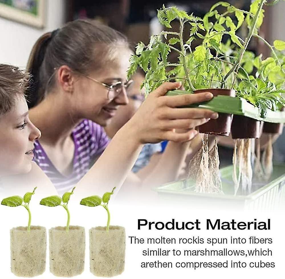 Rockwool Starter Plugs Garden Rockwool Cube, Soilless Culture Starter ...