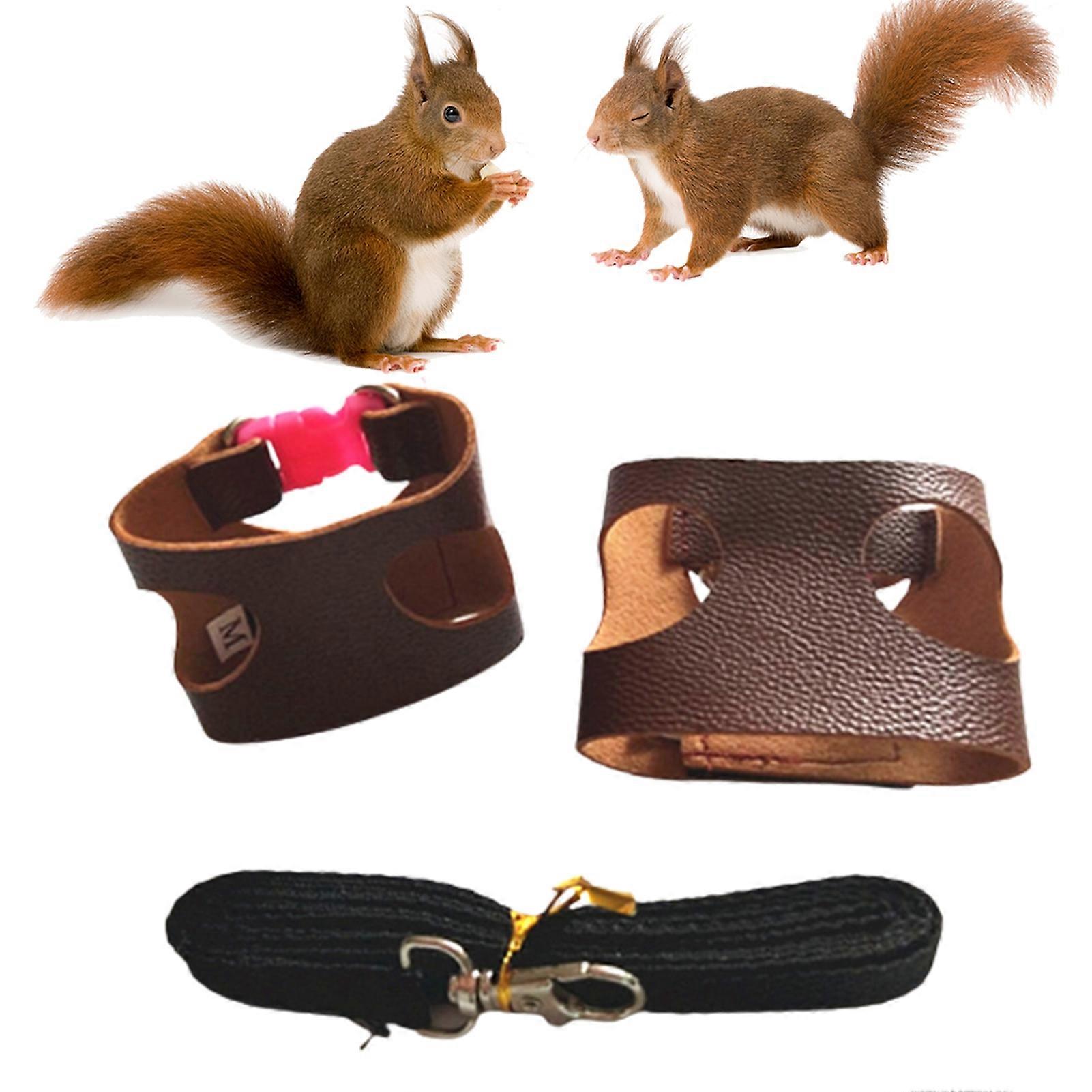 Squirrel Harness Anti-knot Anti-biting Faux Leather Pet Leash Chest ...