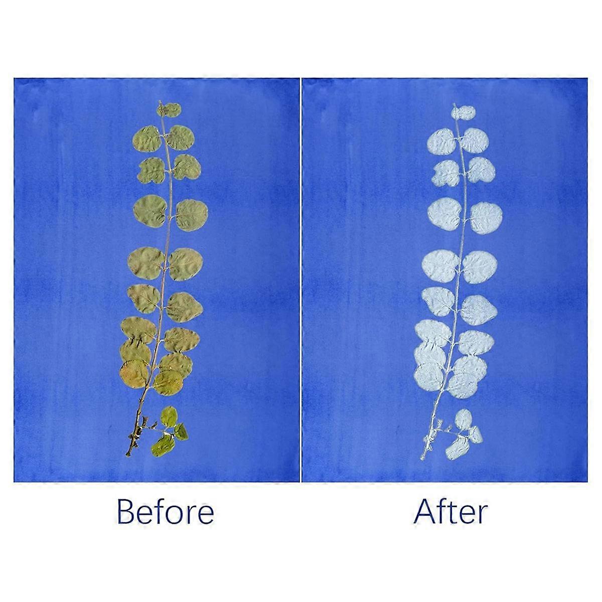 30 Sheets Sun Print Paper Kits Cyanotype Paper A4 A5 Solar Printing Kit ...