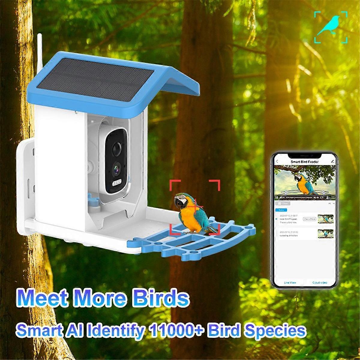 Smart Bird Feeder 5MP HD AI Bird Recognition Solar Feeder Low Power ...