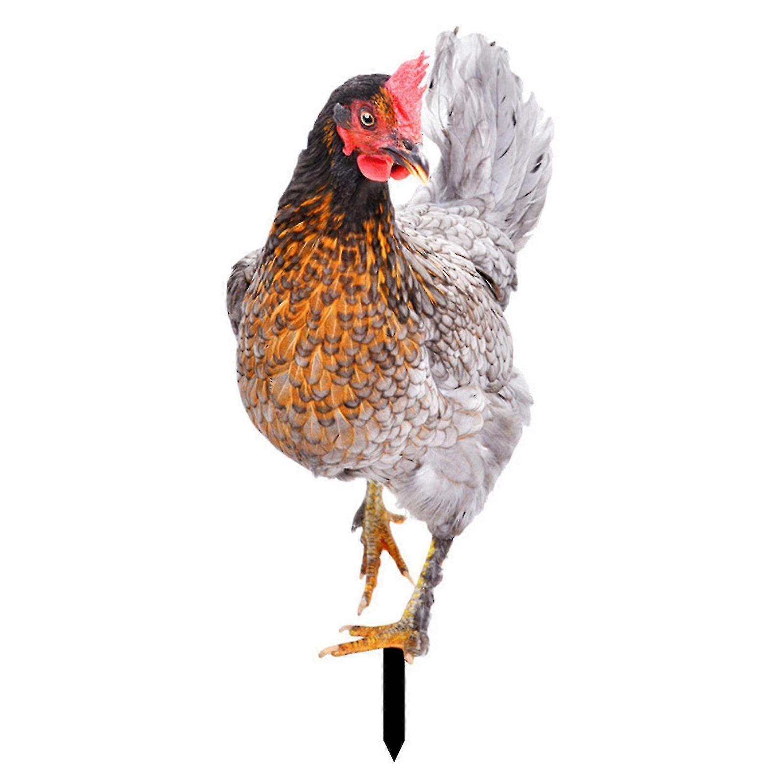 Rooster Decor Realistic Life-like Ornamental Double-sided Printing ...