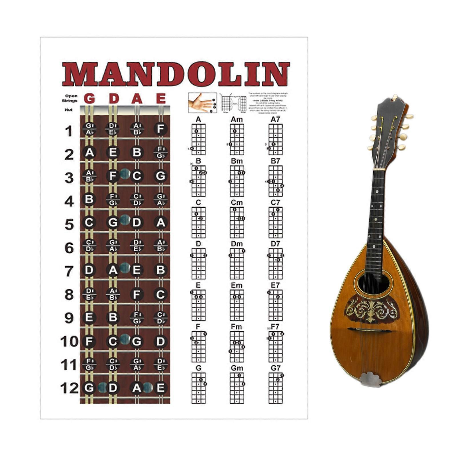 Mandolin Chord Chart Poster Mandolin Fretboard Note Chart Easy Chord ...