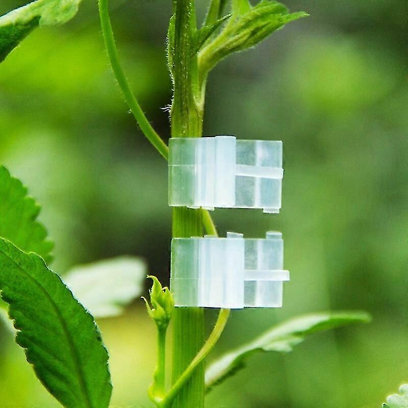 100pcs Special Plant Grafting Clips - Tomato Planting Grafting Clip ...
