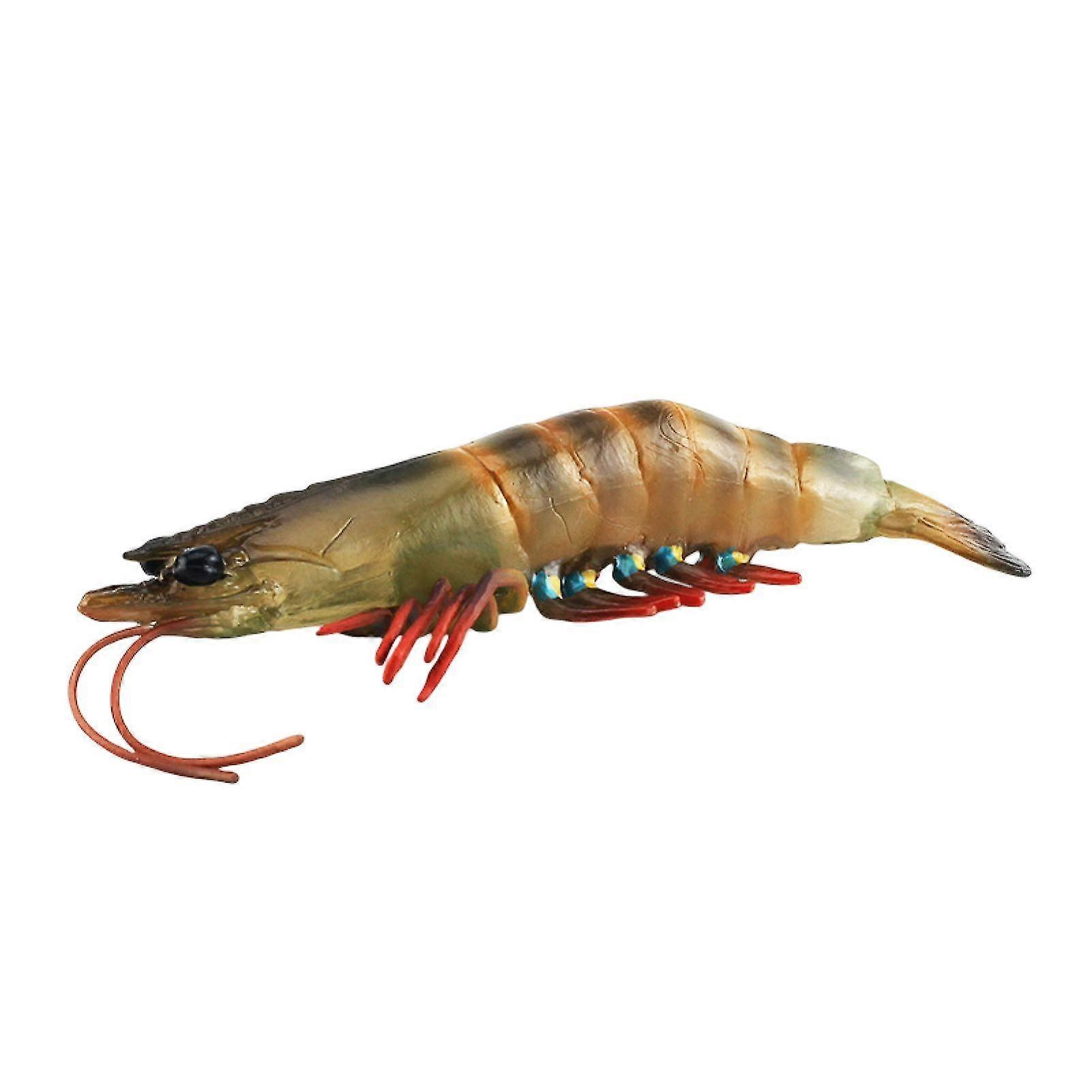 Shrimp Statue Model Realistic Penaeus-monodon Tiger Shrimp Miniature ...