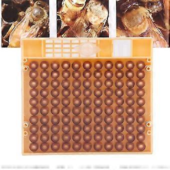 Essential Beekeeping Equipment Kit Queen Rearing for Beekeeping ...