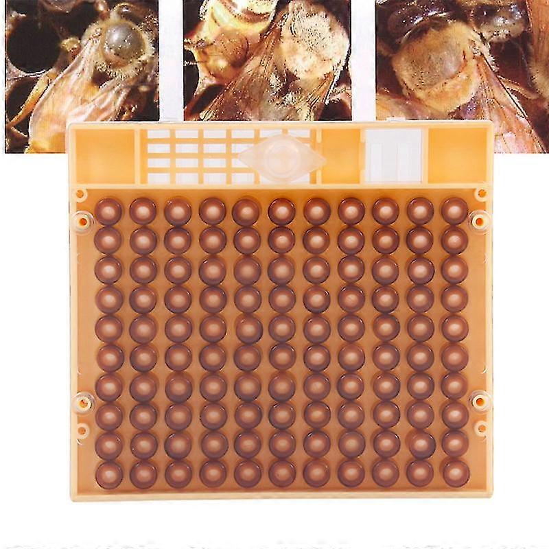Essential Beekeeping Equipment Kit Queen Rearing for Beekeeping ...