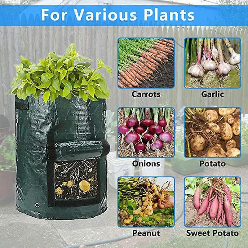 3pcs Potato Plant Growing Kits Bag PE Vegetable Bags with Handle ...