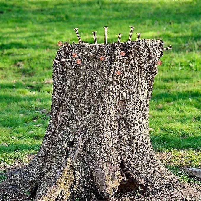 25 Pure Copper Nails - 3.15 Inch, Tree Stump Root Killer with Drill ...