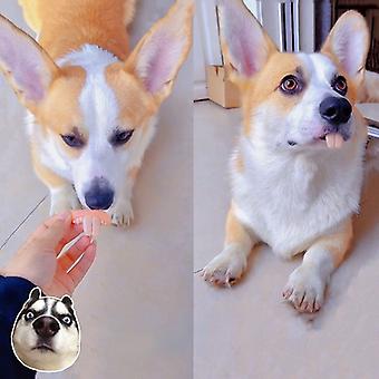 Dog Halloween False Teeth Cosplay Dog Funny Dentures Pet Decorating ...