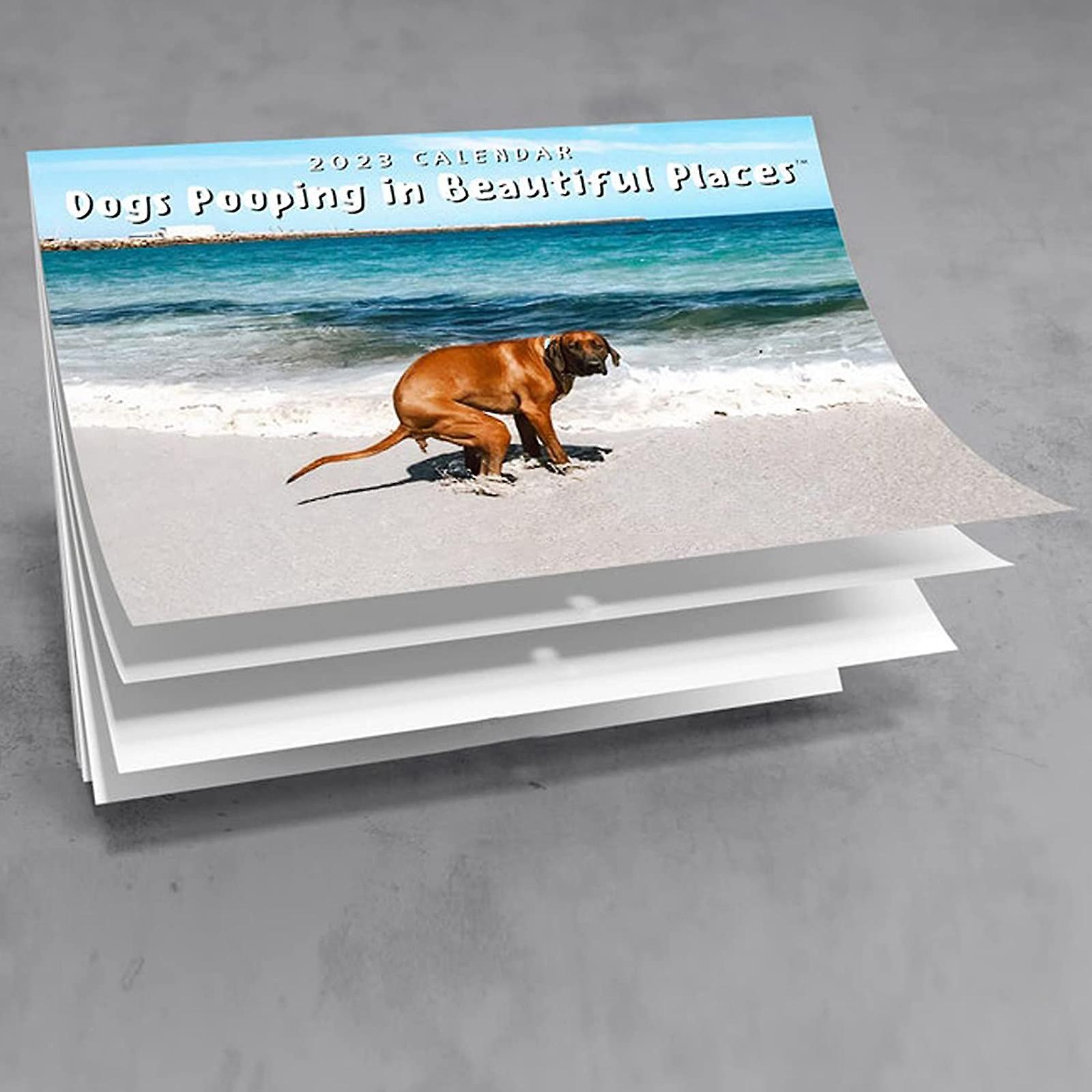 2023 Wall Calendar - Dog Pooping Calendar 2023-2024 , Funny Dog ...