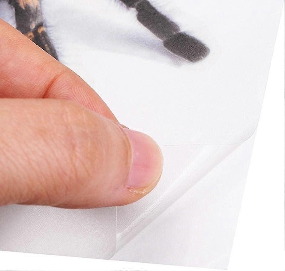 3D Car Sticker Simulation Animal Bumper Door Decor Scorpion Spider ...