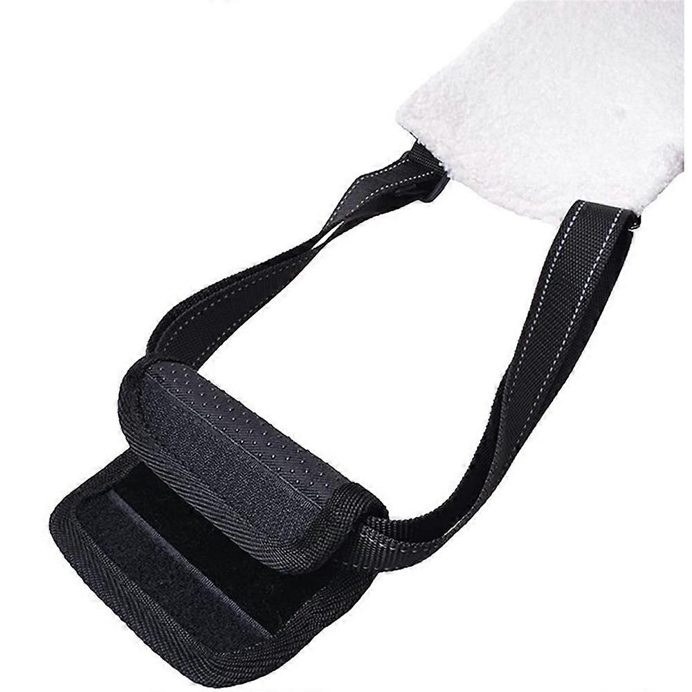 Valp Hund Rörlighet Hjälpmedel Stödsele För Bakåt Ben Ligament ...