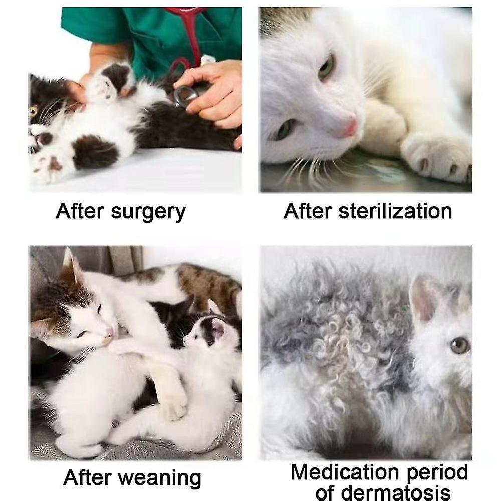 Cat Surgery Recovery Suit For Surgical Abdominal Wounds Home Indoor Pet ...