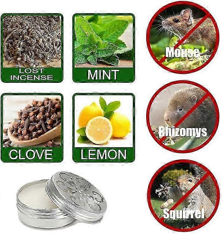 Peppermint Oil To Repel Mice And Rats, Rodent Repellent Mouse Repellent ...