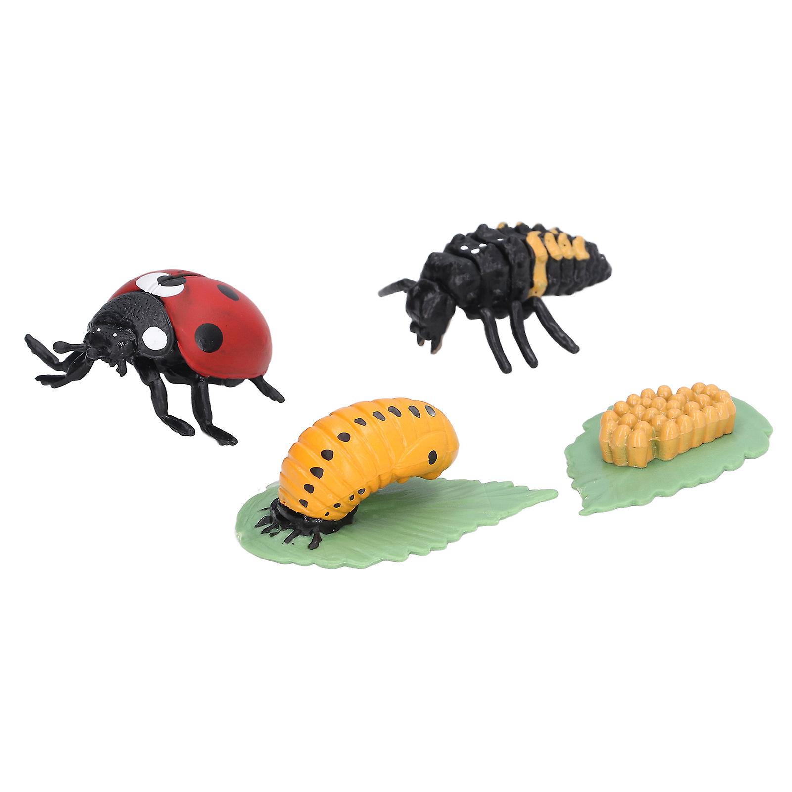 Life Cycle Figurines Lifelike Vinyl Ladybug Life Cycle Model Set For ...