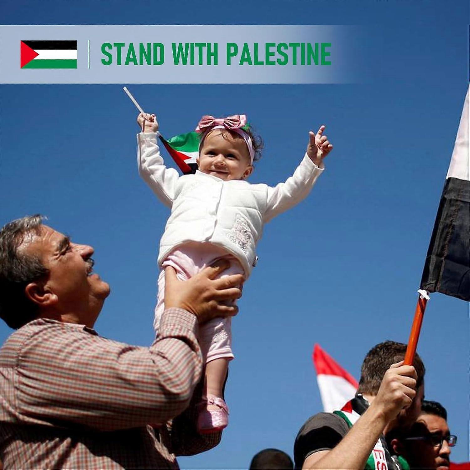 10 PCS Palestine Flag Small 5 x 8 Mini Handheld Waving Palestinian Flag ...