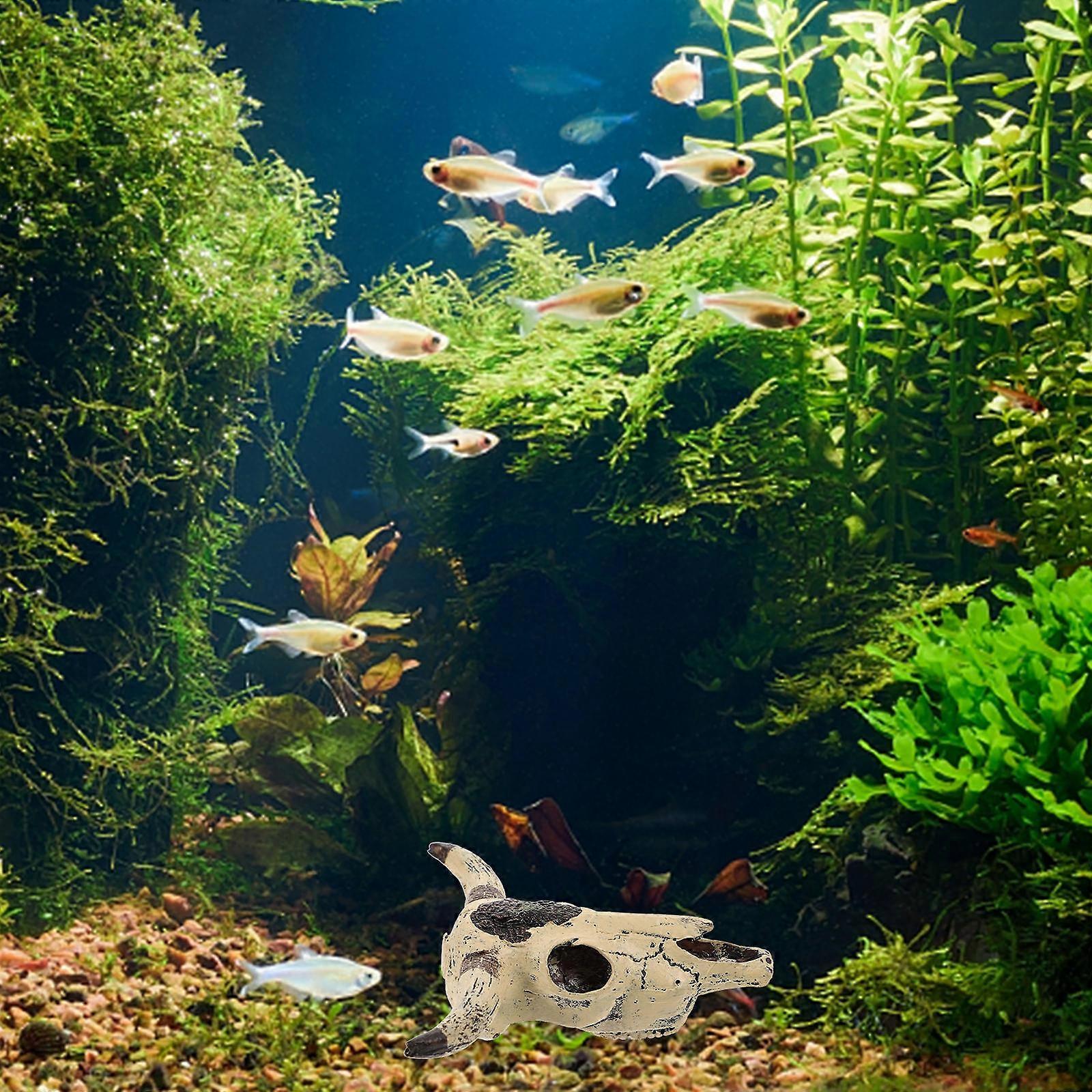 Aquarium Resin Decor Cow Skull Model for Decor Fish Tank Decoration ...