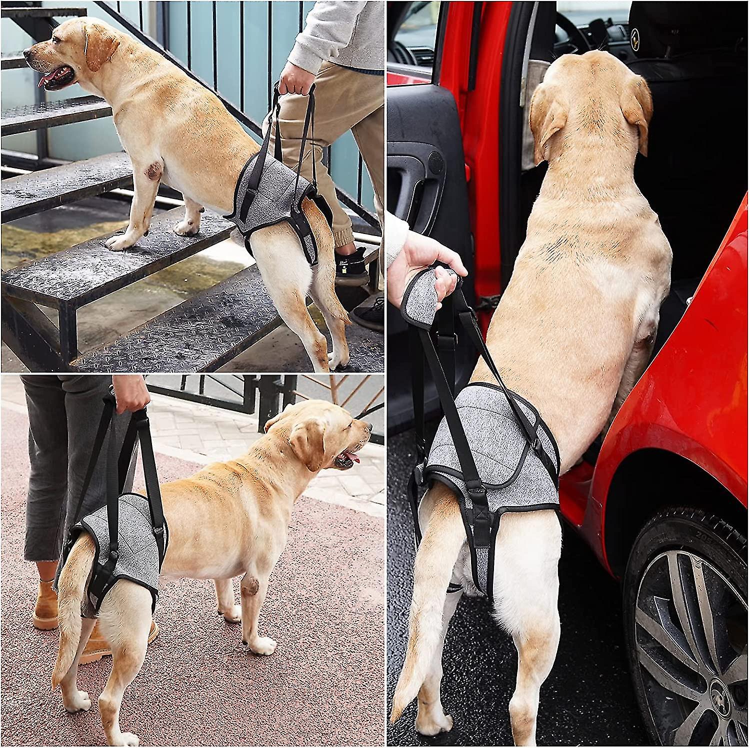 Dog Sling For Lar Dogs Hind Leg To Rehabili The Hind Limbs Of Elderly ...