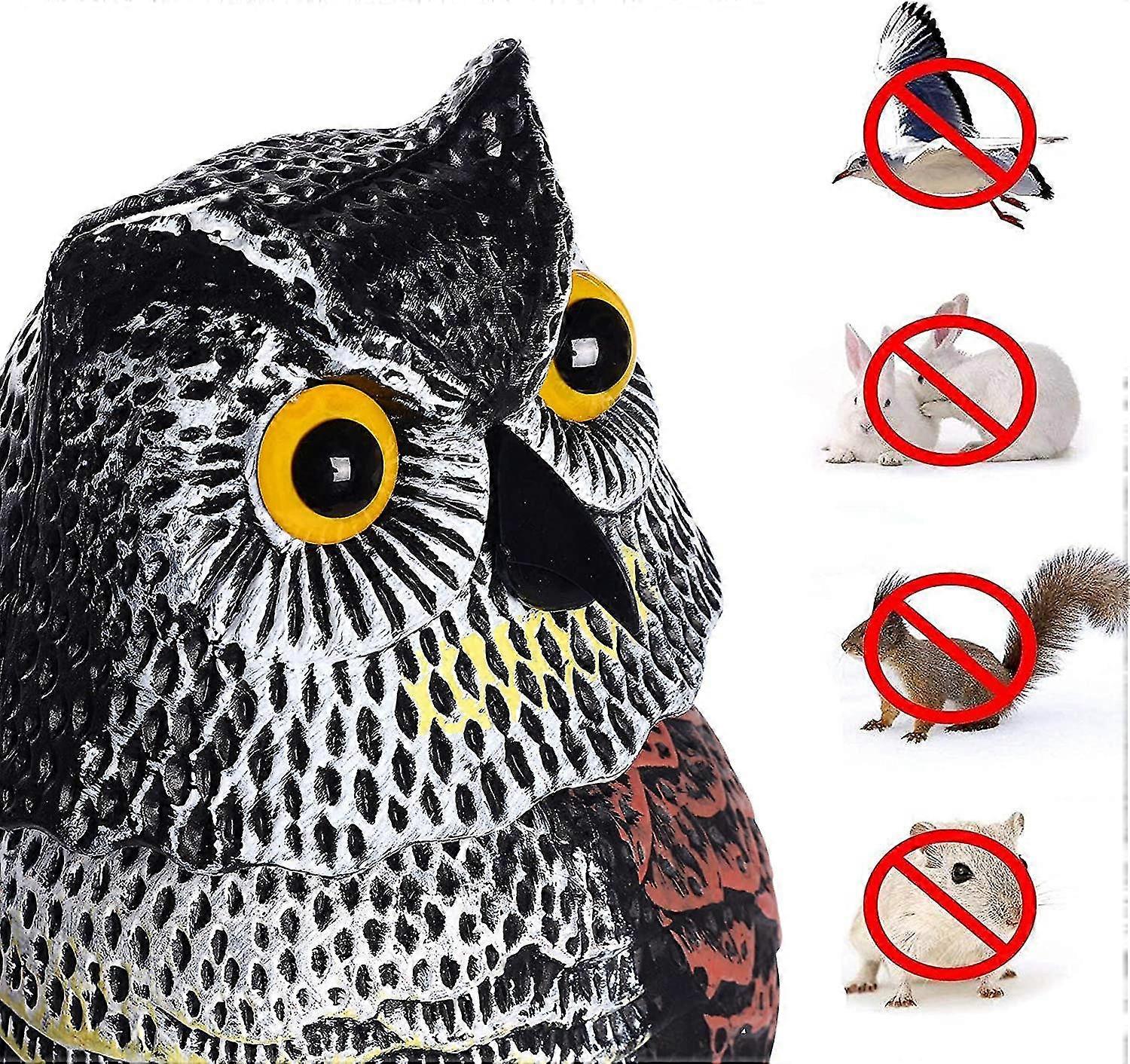 Owl With 360 Rotating Head Scare Birds/pigeon/seagull/crow Plastic ...