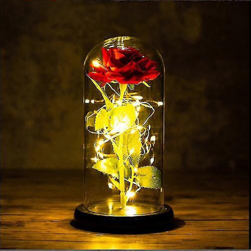Beauty And The Beast Rose, Eternal Rose In Glass Rose In Glass Dome ...