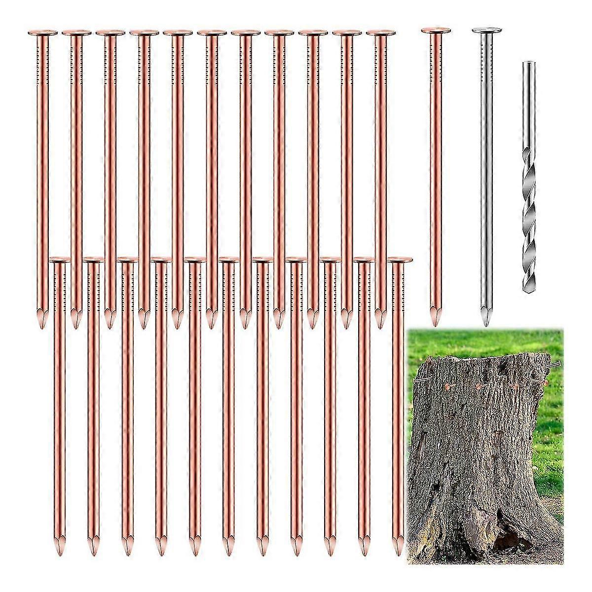 25 Pcs Copper Nails to Killing ,3.5 Inch Pure Copper Nails Bulk,Stump ...