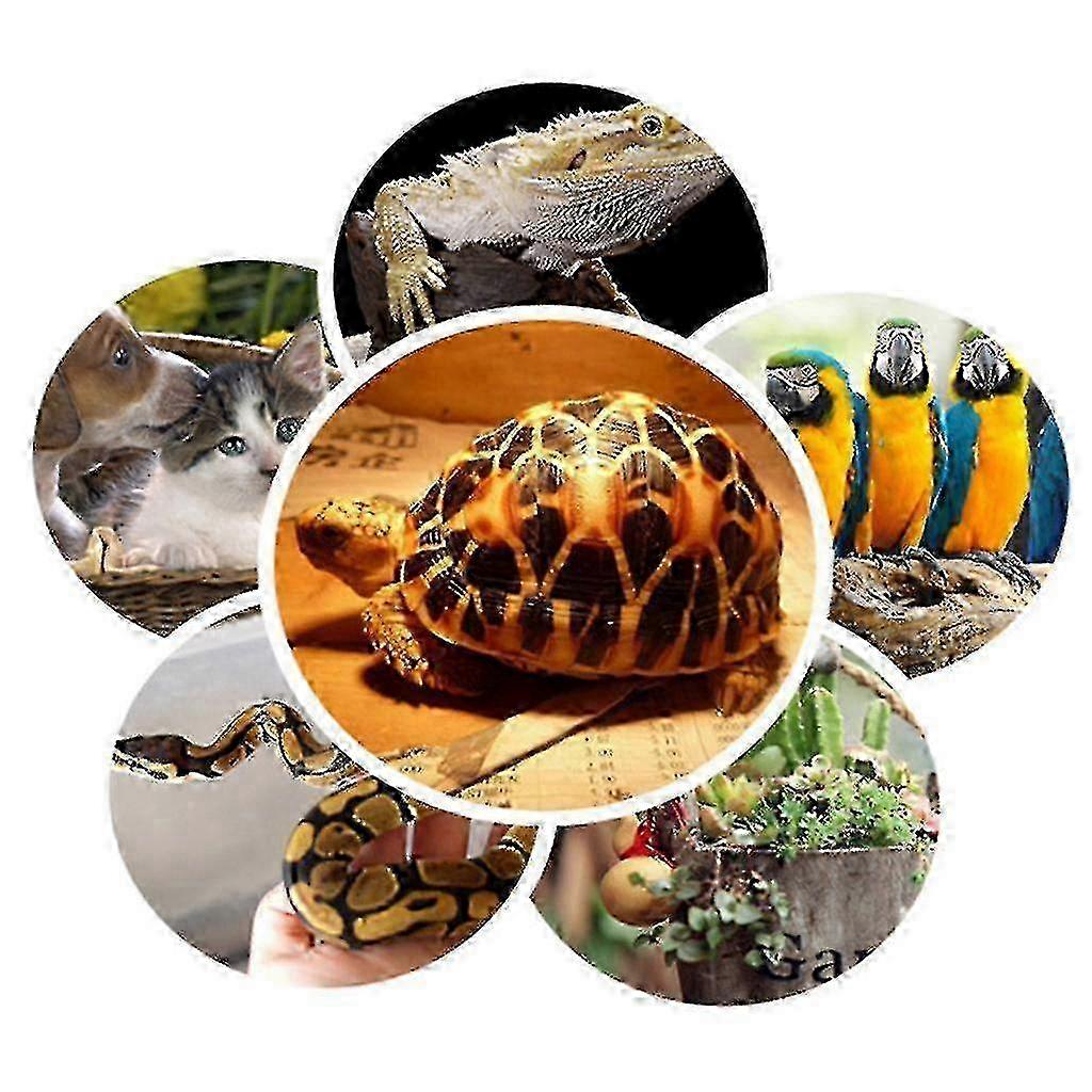 Winter Reptile Heating Kit: Heat Lamp, Birdcage Decor & Multi-Purpose ...