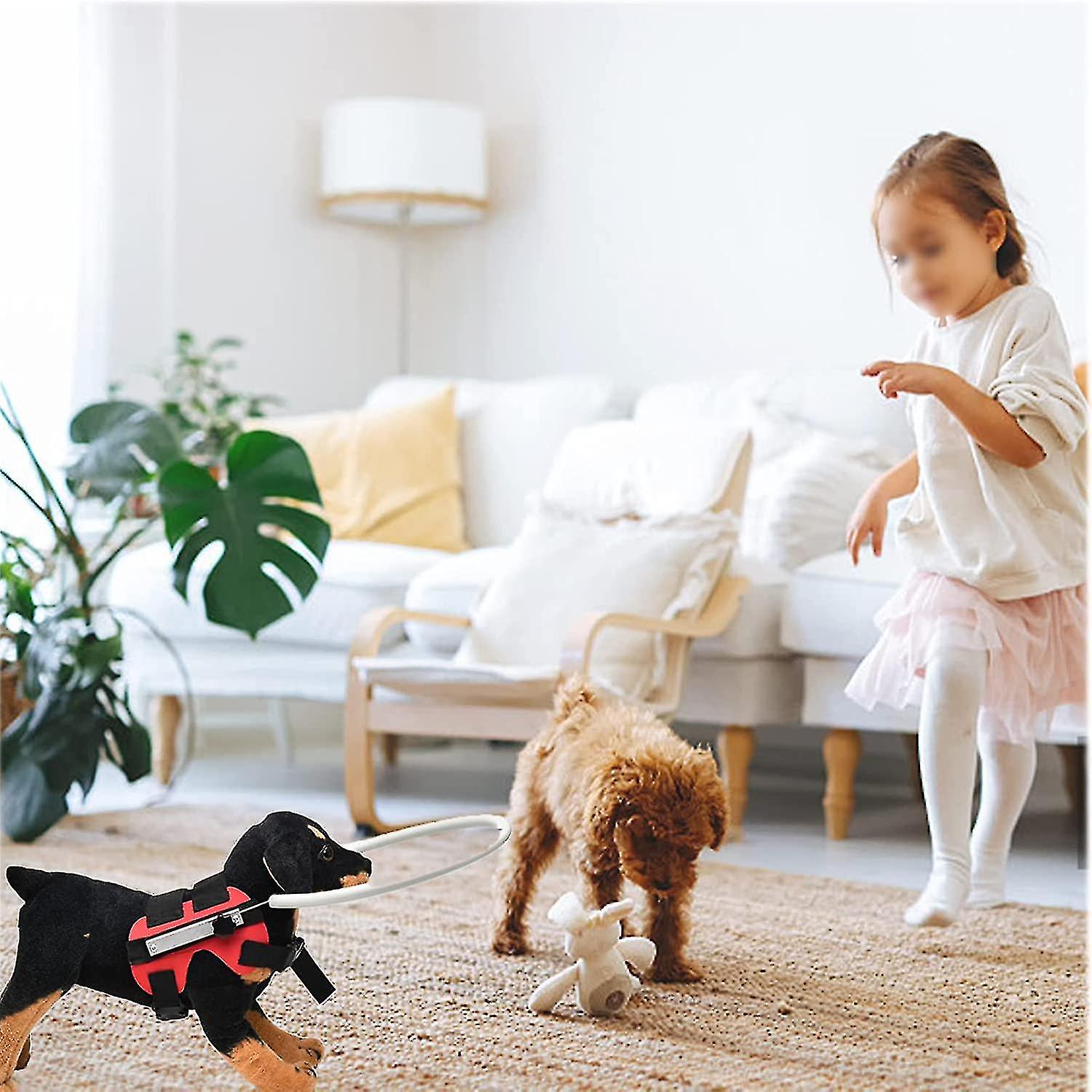 Blind Dog Harness Guiding Device,blind Dog Halo,pet Anti-collision Ring ...